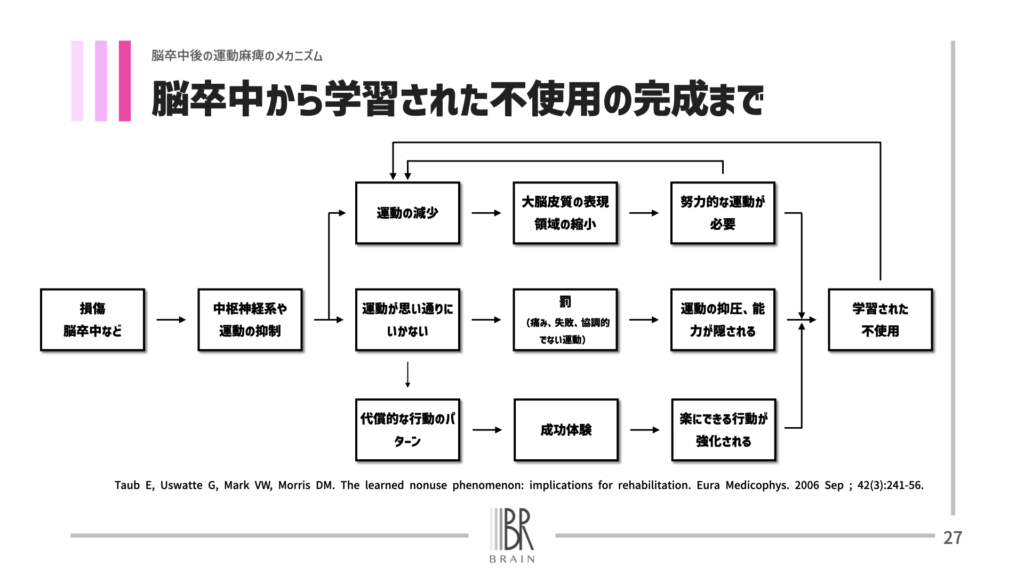 脳梗塞による運動麻痺 -7つのメカニズム-【完全解説】 - | BRAIN | 東京都世田谷区の自費リハビリ施設BRAIN【脳卒中専門】