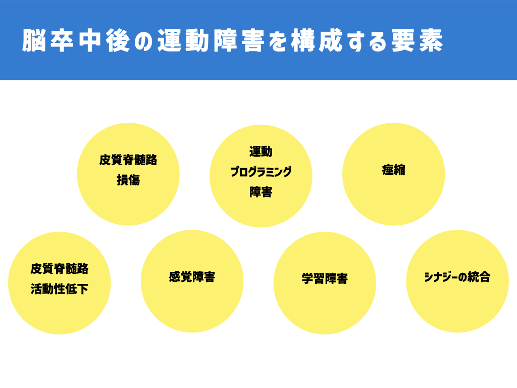 脳梗塞による運動麻痺 -7つのメカニズム-【完全解説】 - | BRAIN | 東京都世田谷区の自費リハビリ施設BRAIN【脳卒中専門】