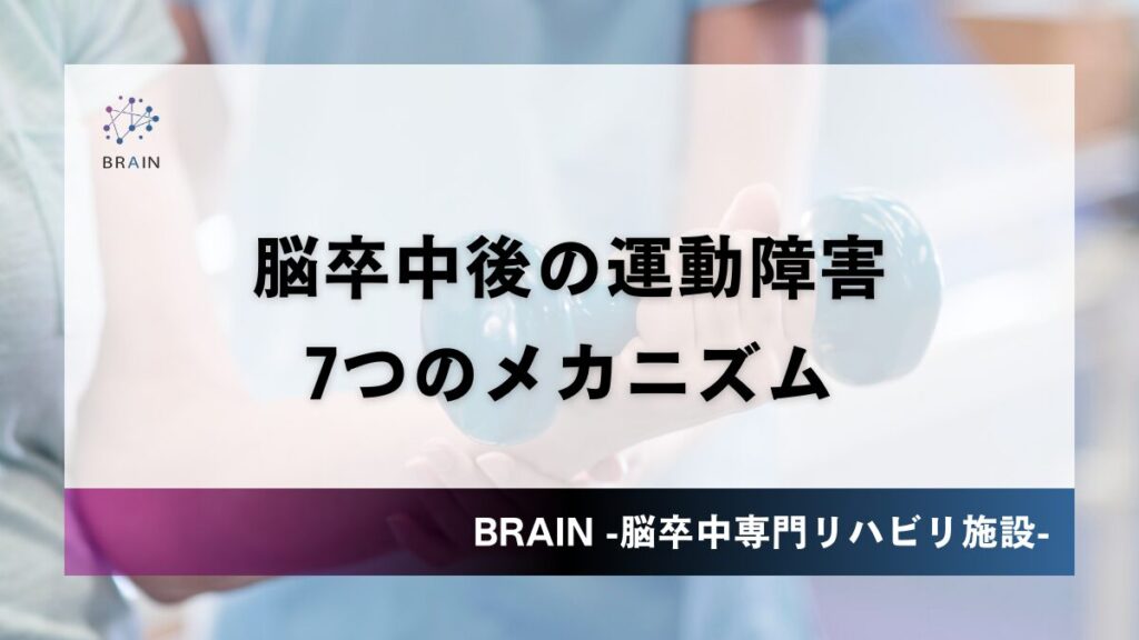 脳梗塞による運動麻痺 -7つのメカニズム-【完全解説】 - | BRAIN | 東京都世田谷区の自費リハビリ施設BRAIN【脳卒中専門】